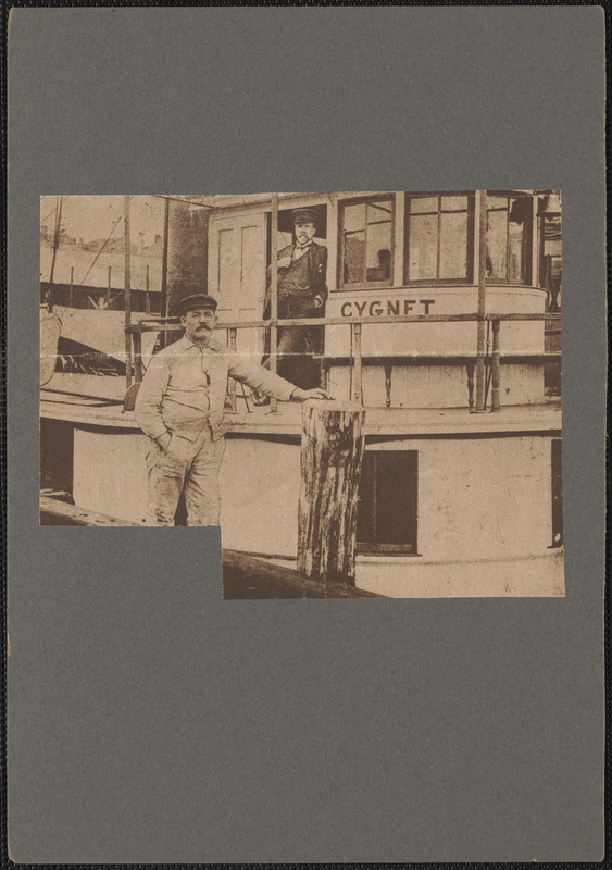 The Old Cygnet - Digital Commonwealth