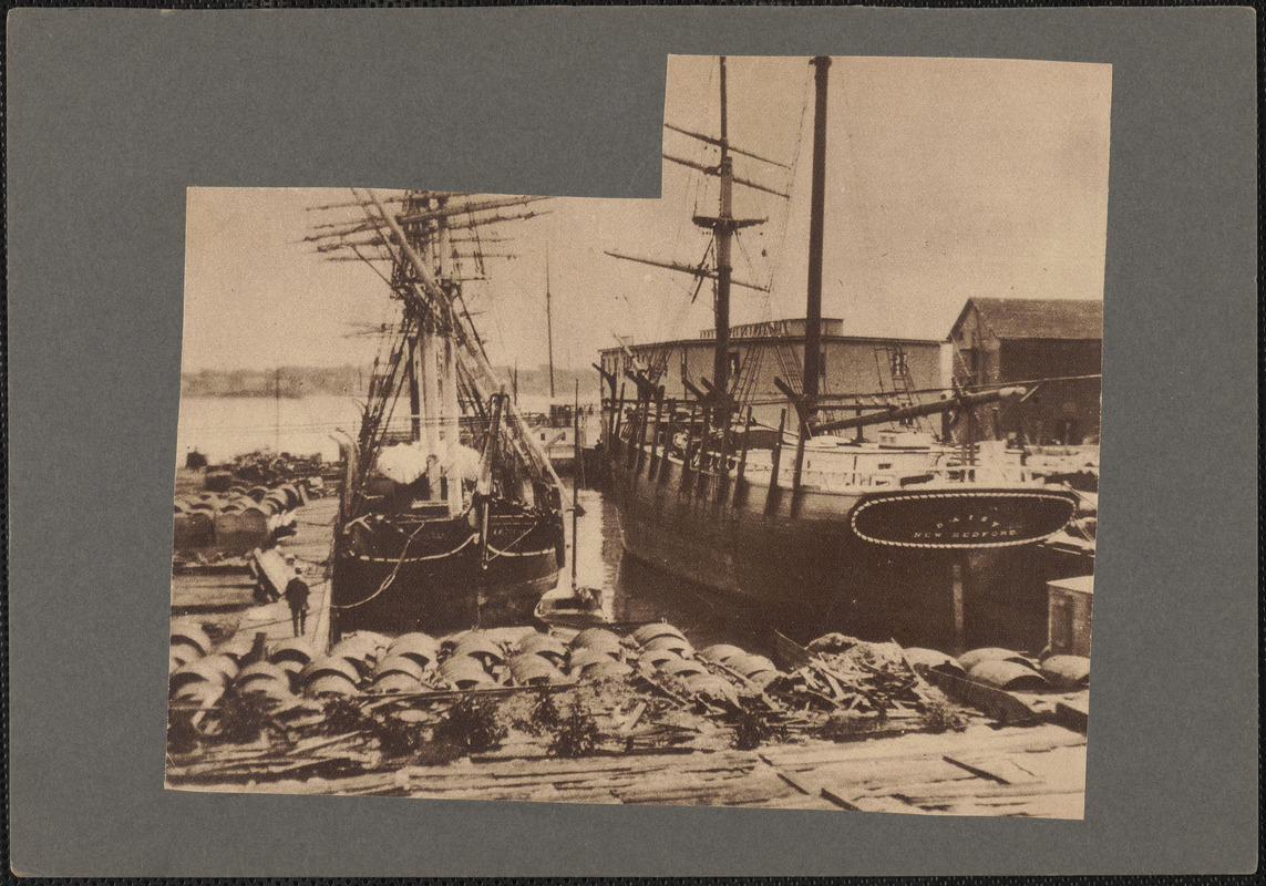 From whales to elephants, this famous whaling vessel, the Daisy, made ...