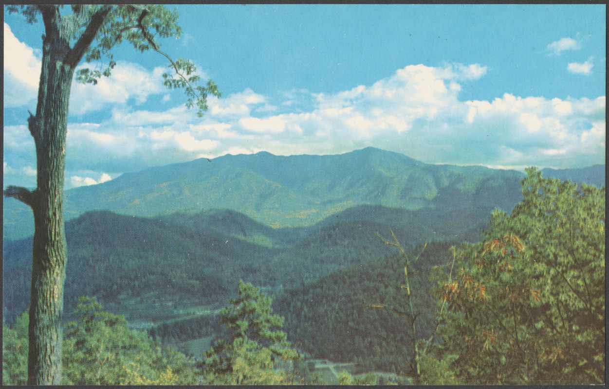 Mount Le Conte - Digital Commonwealth