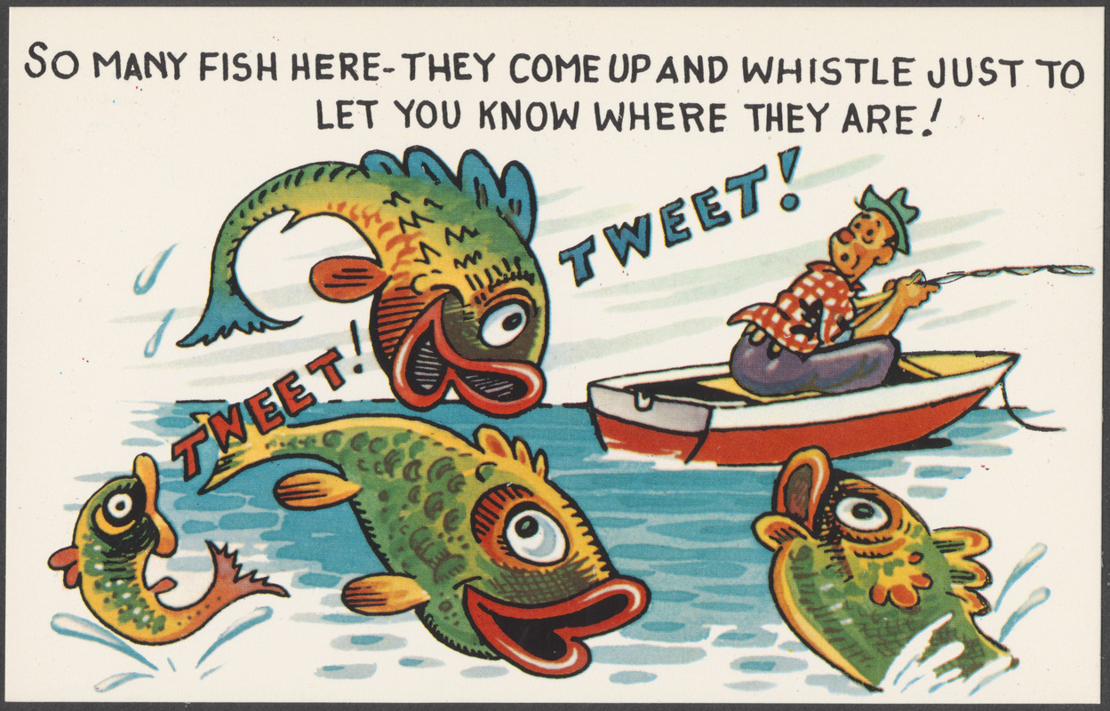 So many fish here - they come up and whistle just to let you know where ...