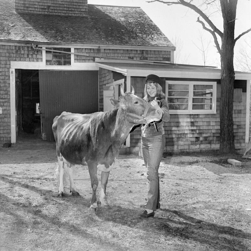 4H Farm, 182 Thompson Street, East Middleboro - Digital Commonwealth