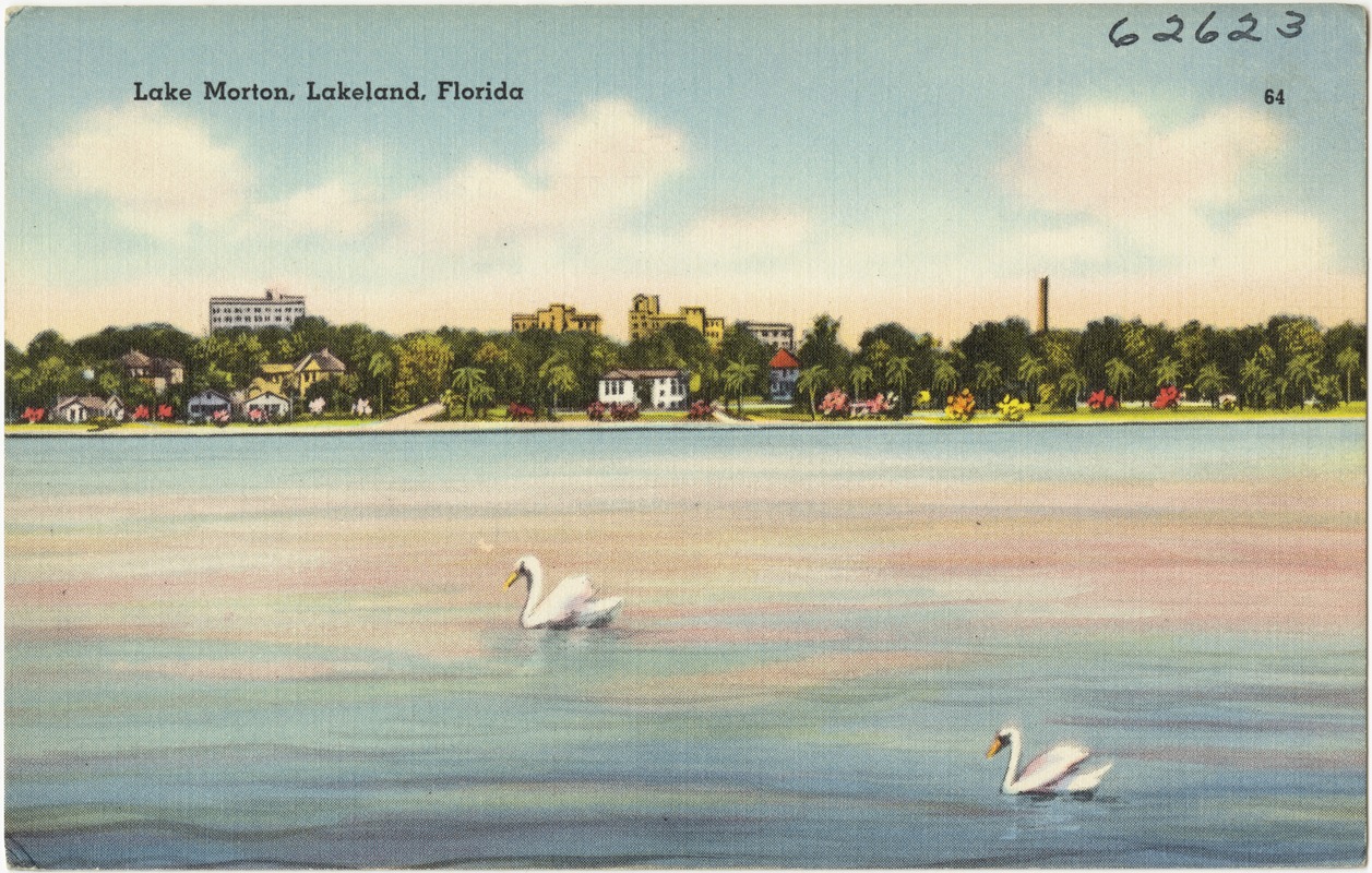 Lake Morton, Lakeland, Florida - Digital Commonwealth