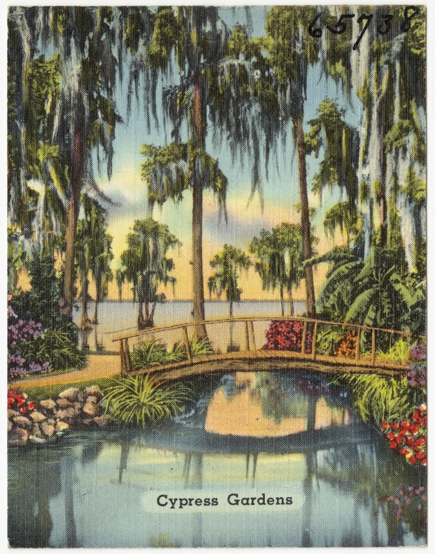 Cypress gardens - Digital Commonwealth