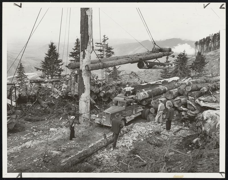 Flipping 'Em On, a homemade log-loader piles up Douglas first for ...