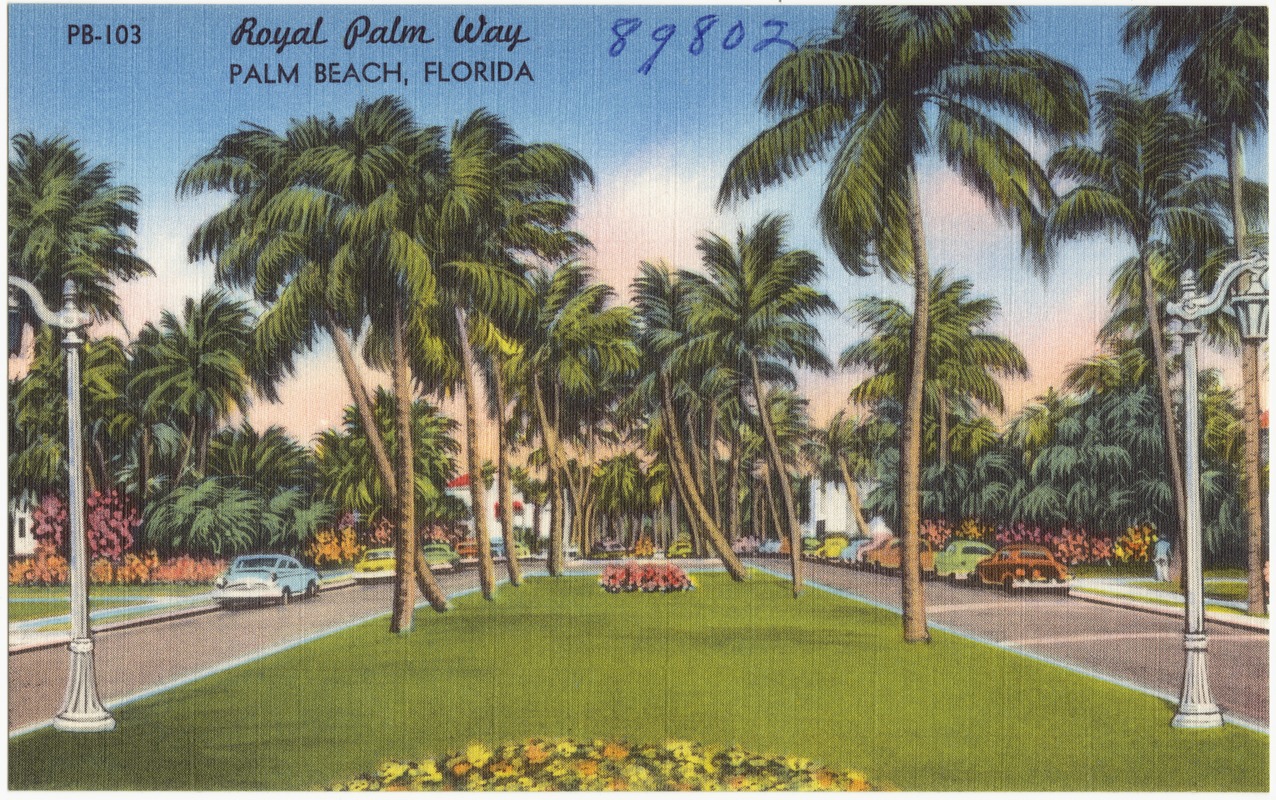 Royal Palm Way, Palm Beach, Florida - Digital Commonwealth