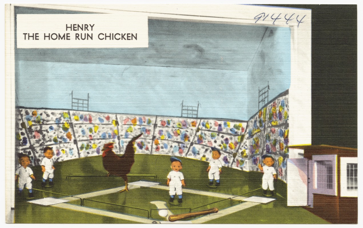 Henry, the home run chicken - Digital Commonwealth