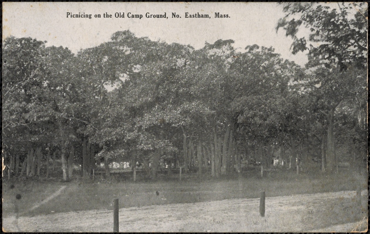 Picnicing on the Old Camp Ground, No. Eastham, Mass. - Digital Commonwealth