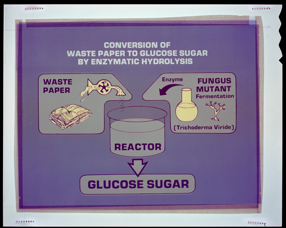 Conversion of waste paper to glucose sugar by enzymatic hydrolysis ...