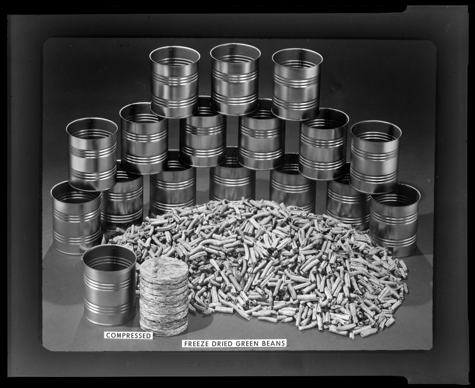 Freeze dried green beans, compressed - Digital Commonwealth