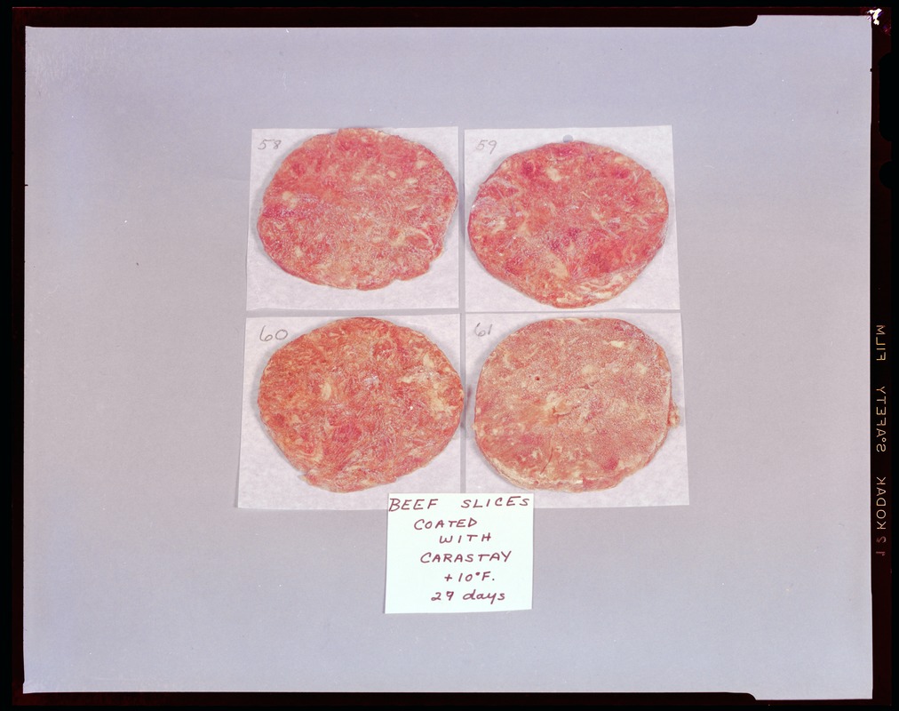 Food lab, beef slices with carastay, +10 F, 29 days - Digital Commonwealth
