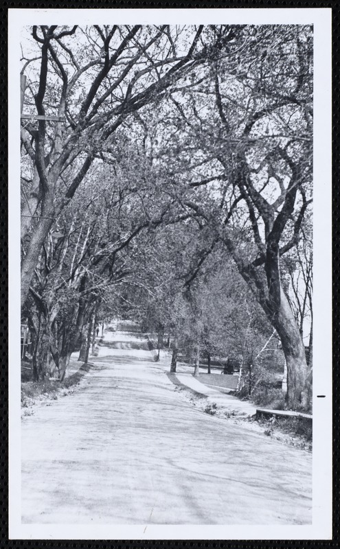 Villages of Newton, MA. Newtonville. Otis St. west from Lowell Ave ...