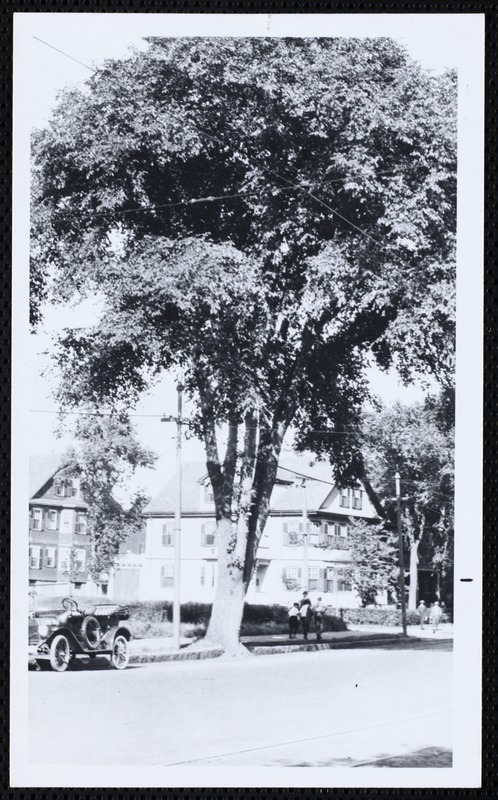Villages of Newton, MA. Newtonville. Washington St. Elm, Newtonville ...