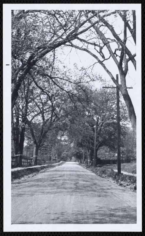 Villages of Newton, MA. Newtonville. Otis St. west from Lowell Ave ...