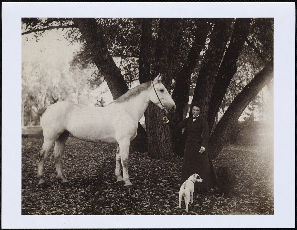 Miss Kate Cary: with horse & dogs - Digital Commonwealth