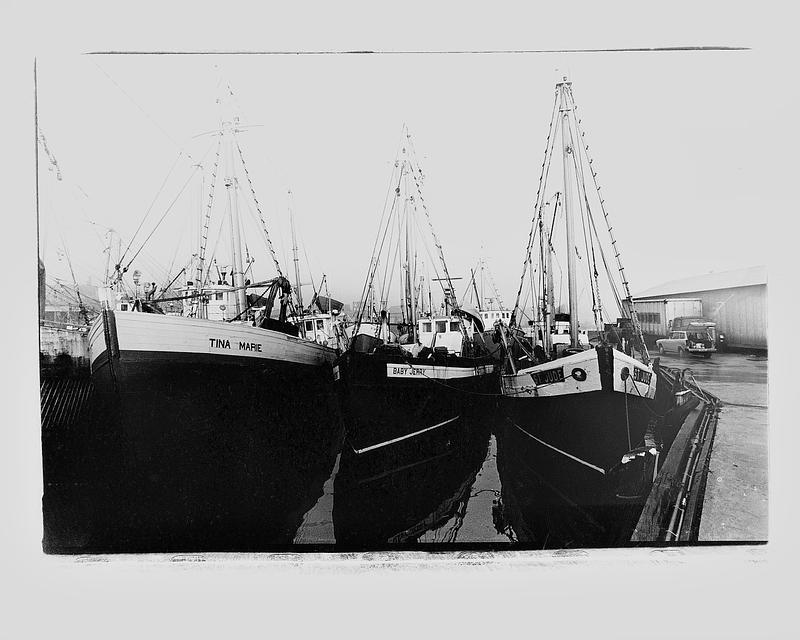 Tina Marie, Baby Jerry and St. Jude - Digital Commonwealth