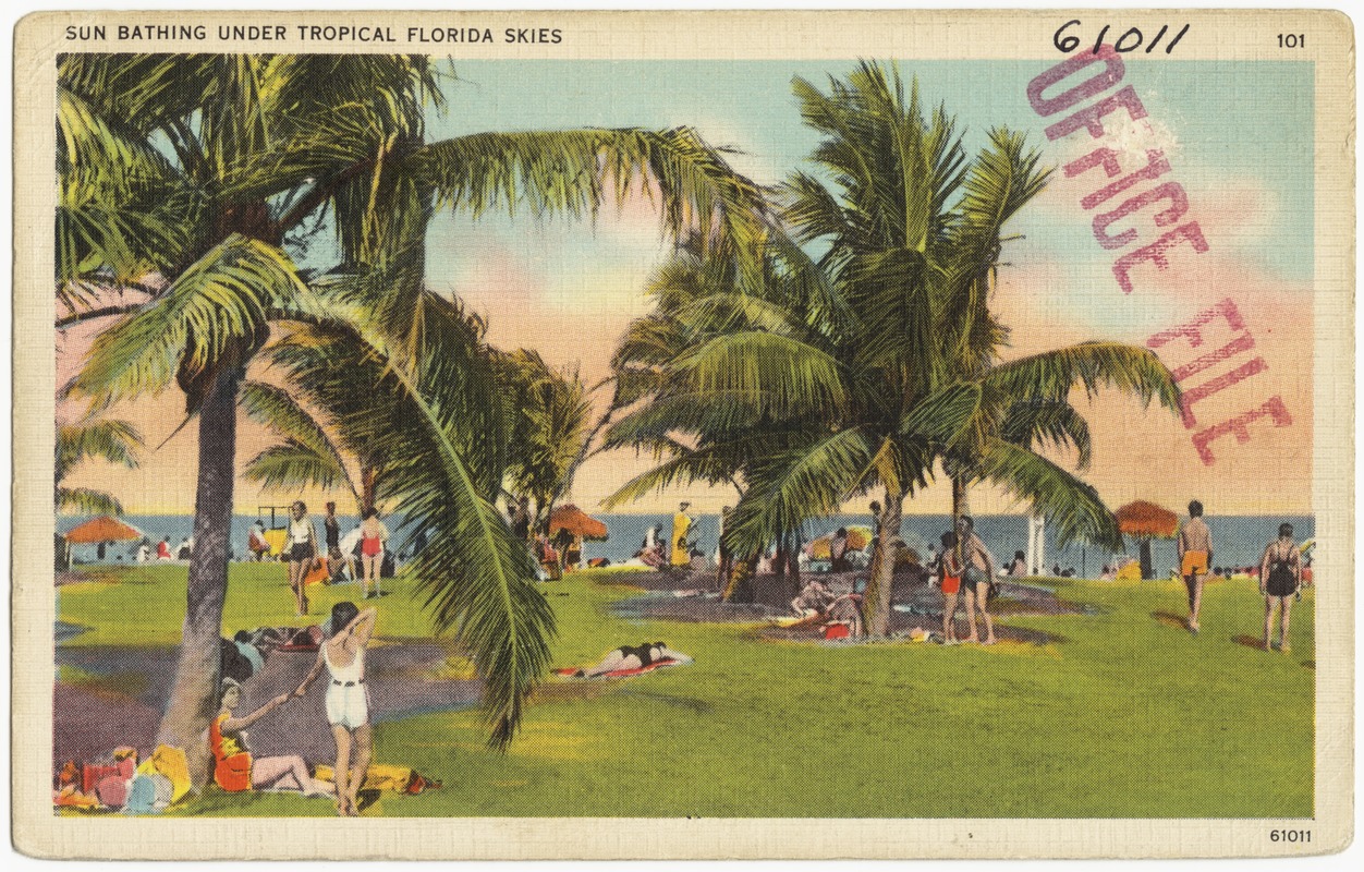 Sun bathing under tropical Florida skies - Digital Commonwealth