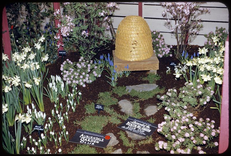 Flower show - Digital Commonwealth