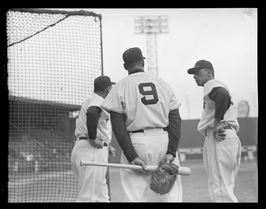 Ted Williams - Digital Commonwealth