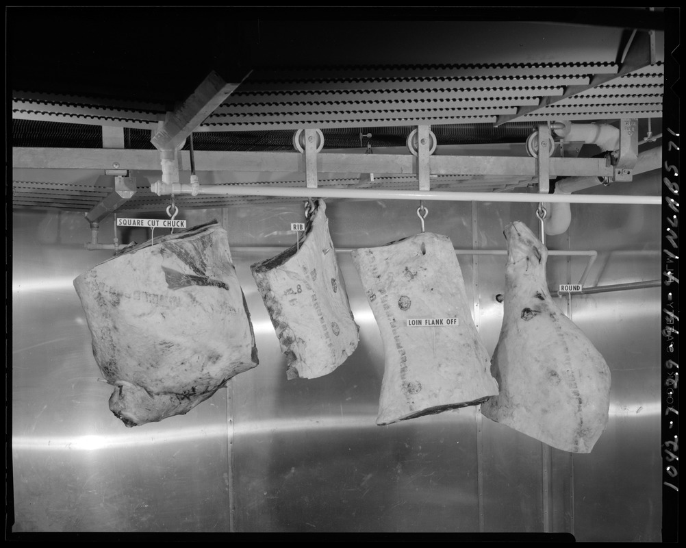 Square cut chuck, rib, loin flank off, round - Digital Commonwealth