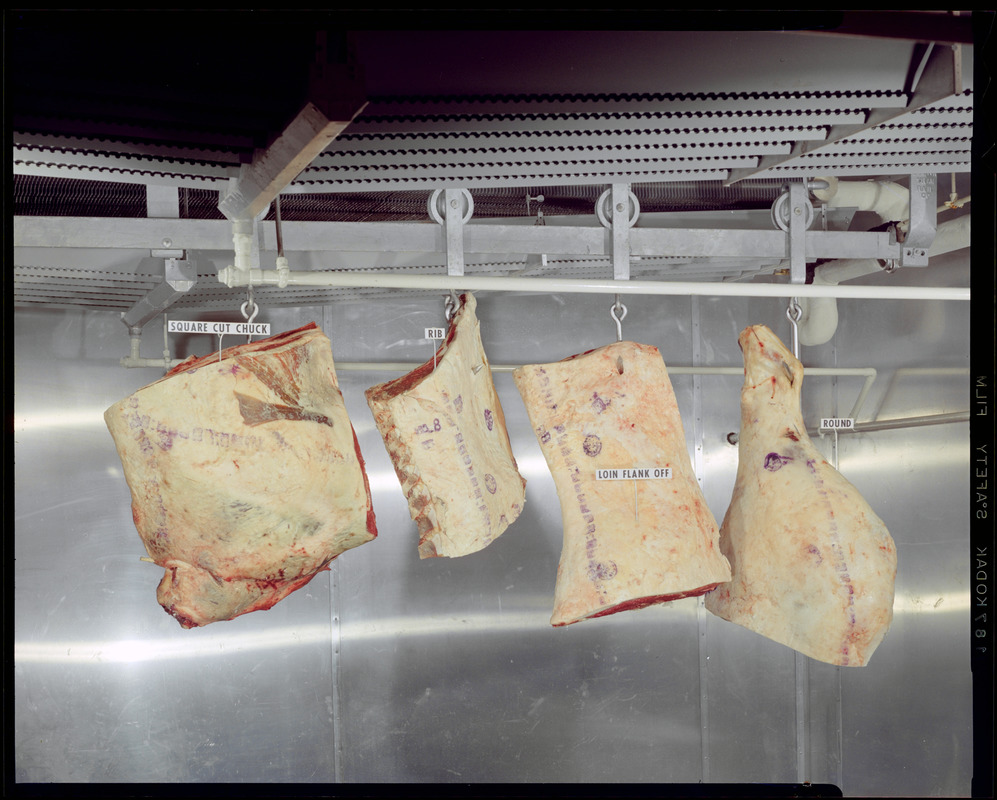 Square cut chuck, rib, loin flank off, round - Digital Commonwealth