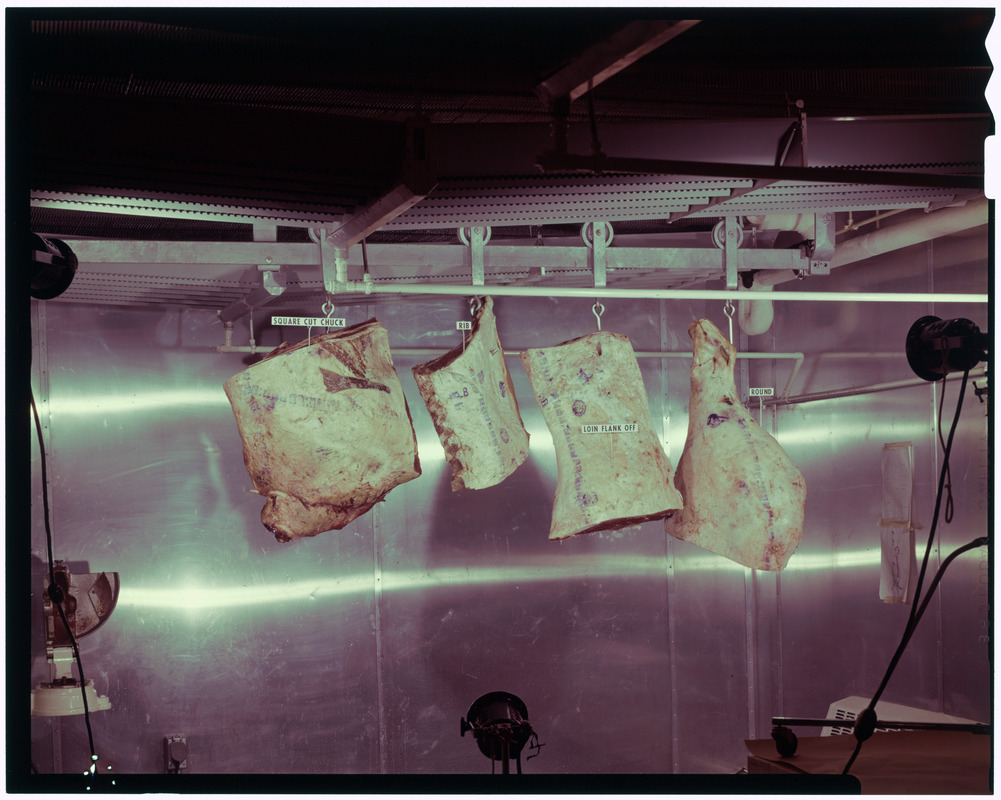 Square cut chuck, rib, loin flank off, round - Digital Commonwealth