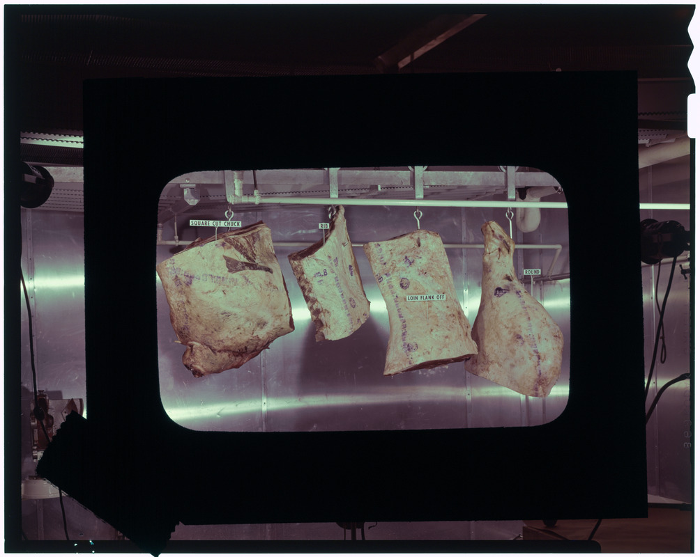 Square cut chuck, rib, loin flank off, round - Digital Commonwealth