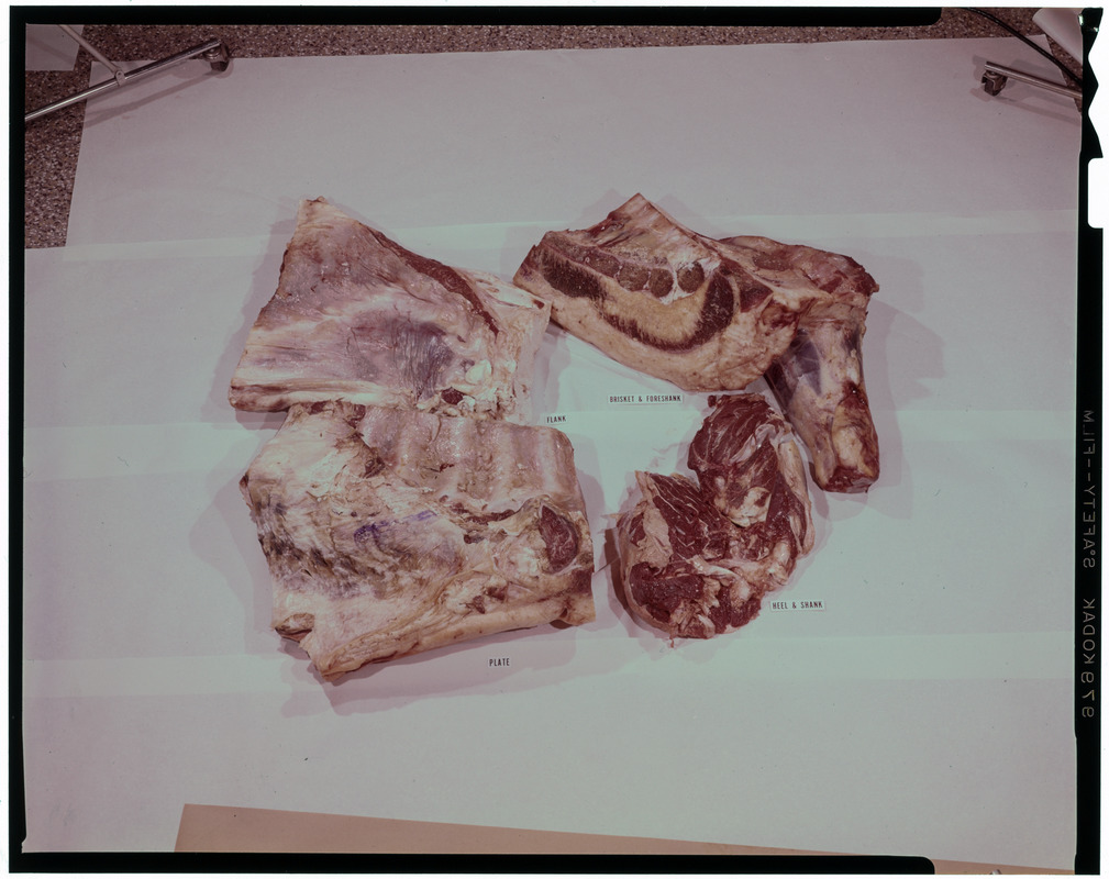 Flank, brisket + foreshank, plate, heel+shank - Digital Commonwealth