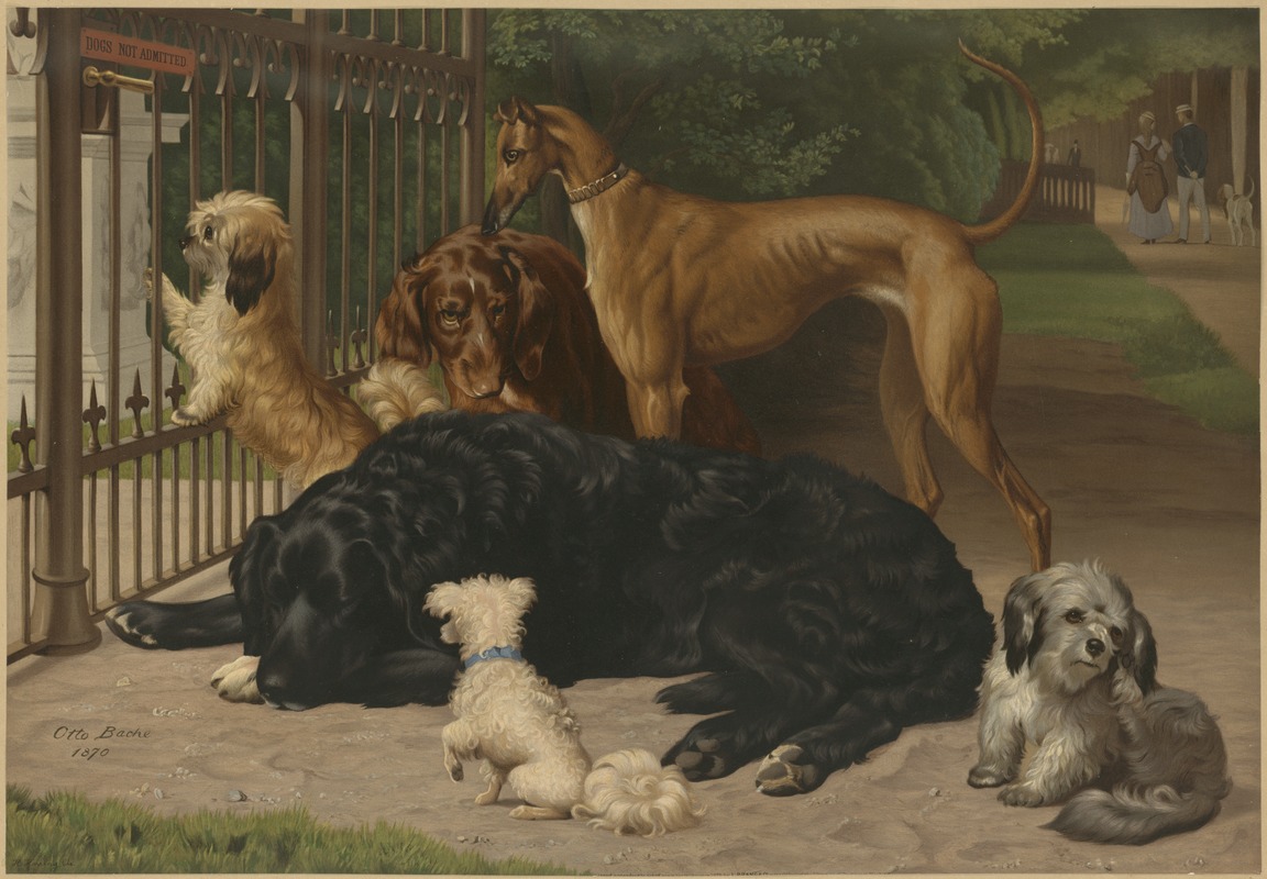 Dogs Not Admitted Digital Commonwealth