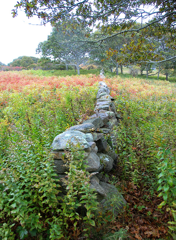 Red Gate Farm - Stonewall - Digital Commonwealth