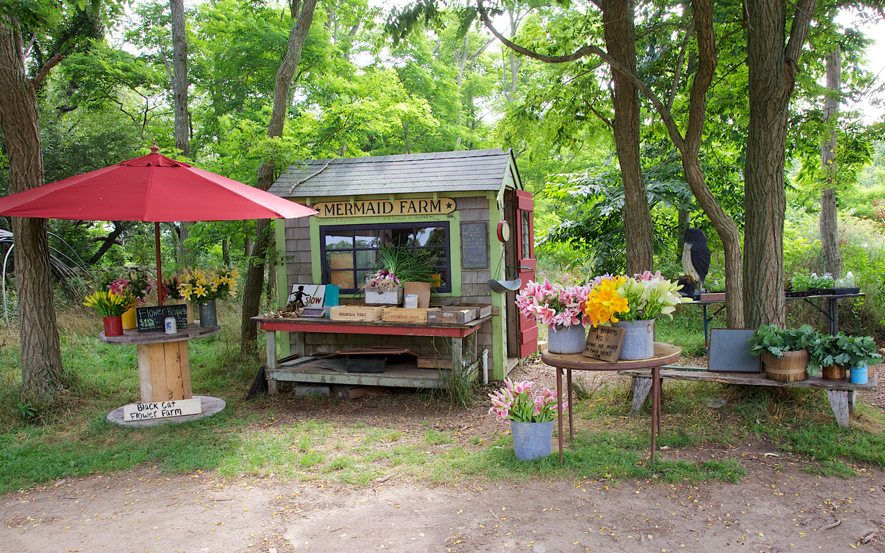 Mermaid Farm stand - Digital Commonwealth