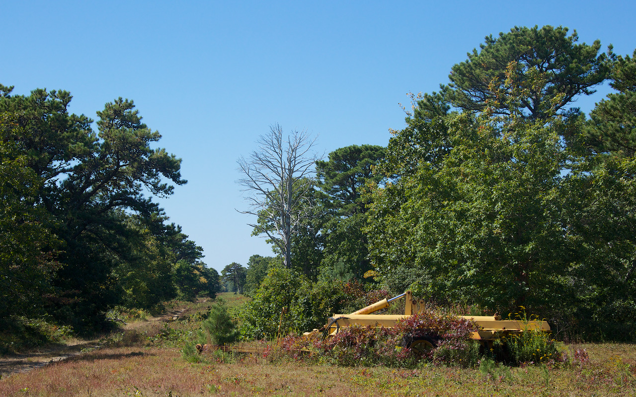 Manuel F. Correllus State Forest - Harrow and Resulting Grasslands ...