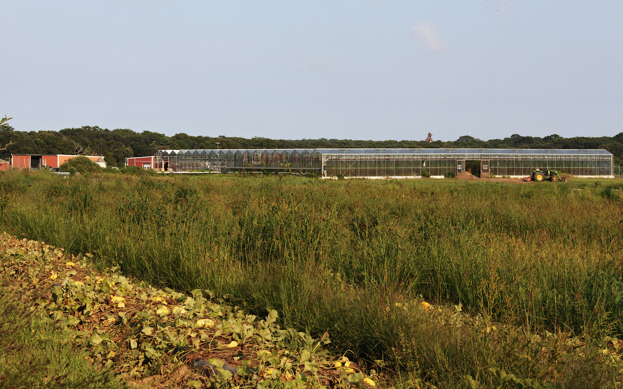 Thimble Farm - Greenhouses - Goodale operation in distance - Digital ...