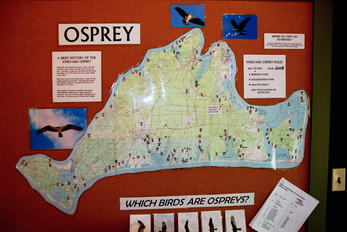 Osprey Map - Felix Neck - Digital Commonwealth