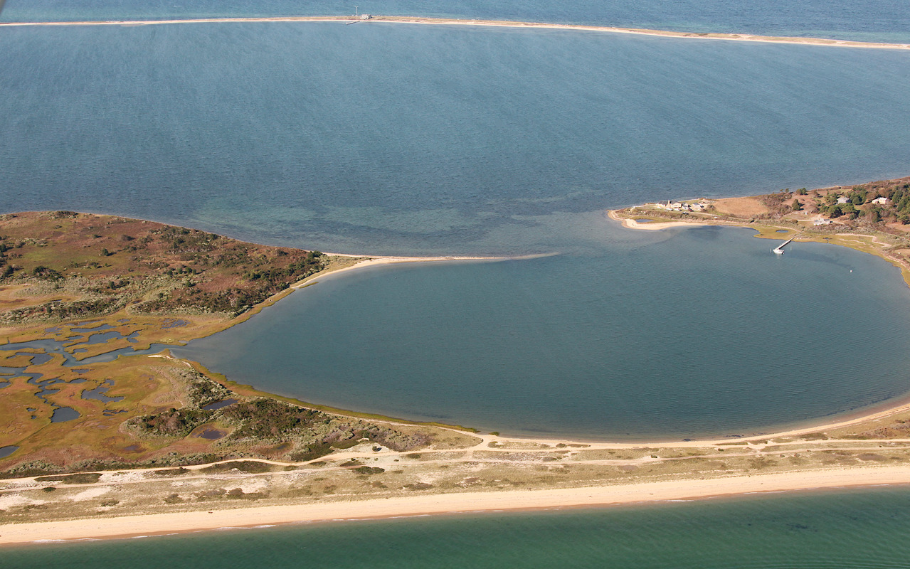 Cape Poge - Shear Pen Pond - Digital Commonwealth