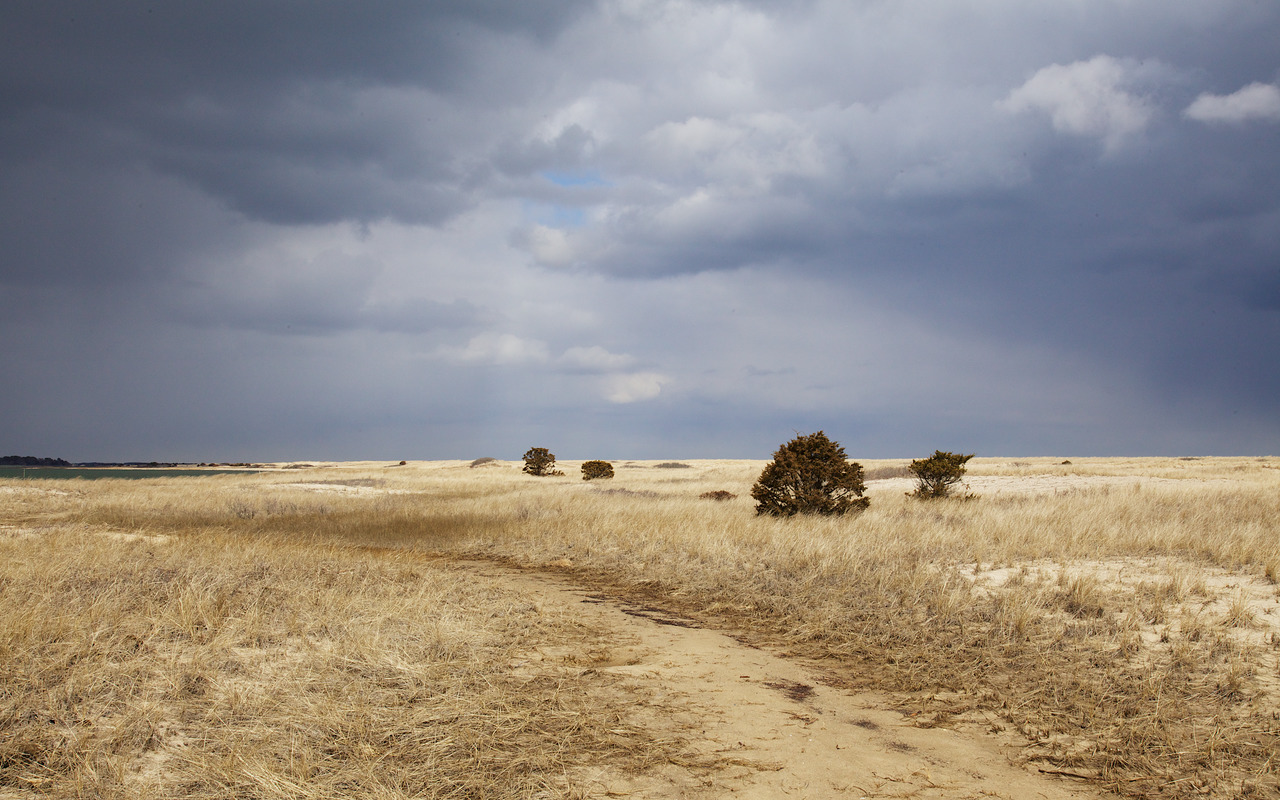Schifter walkway to beach and Poucha Pond - Digital Commonwealth