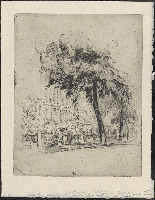 Big tree, Cheyne Walk - Digital Commonwealth