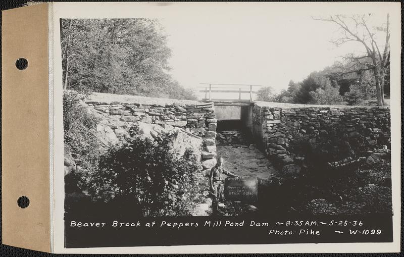 Beaver Brook at Pepper's mill pond dam, Ware, Mass., 8:35 AM, May 25 ...