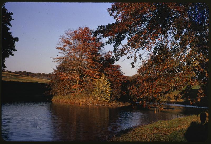 Trees showing fall foliage next to a body of water - Digital Commonwealth