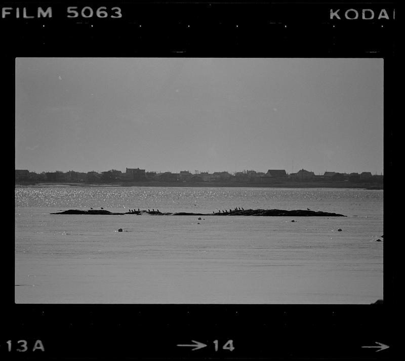 Half tide rocks - Digital Commonwealth