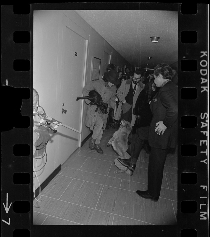 People and dogs in crowded hallway at Brandeis University during ...