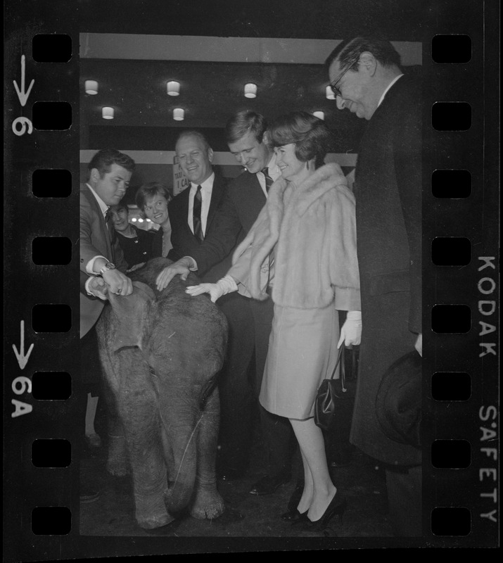 Checking the appearance of their party's symbol during last night's ...