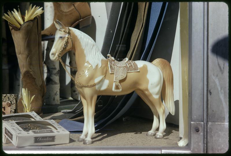 Horse figurine in a window display - Digital Commonwealth