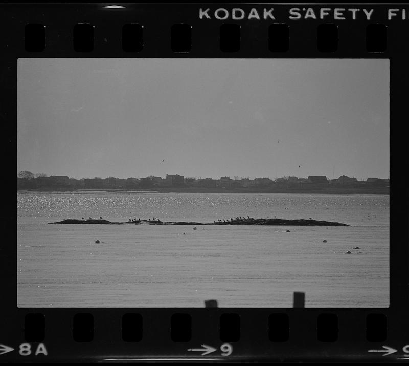 Half tide rocks - Digital Commonwealth