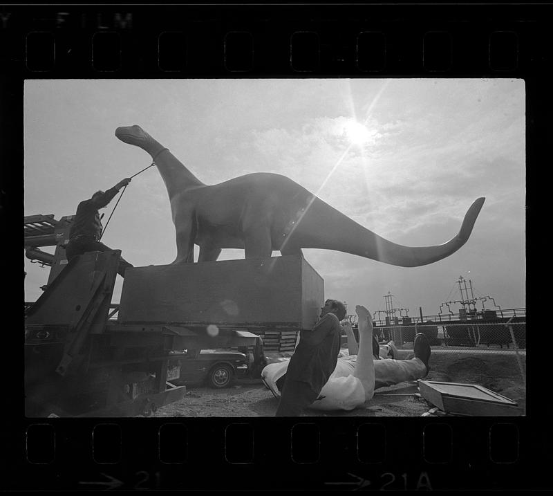Sinclair Oil dinosaur advertising sign unloaded, East Boston - Digital ...