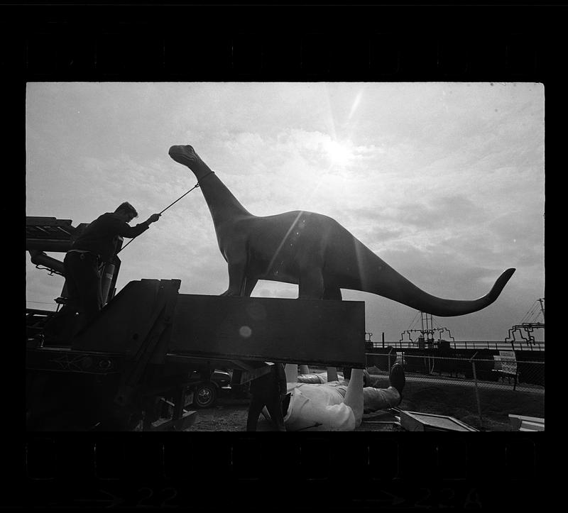 Sinclair Oil dinosaur advertising sign unloaded, East Boston - Digital ...