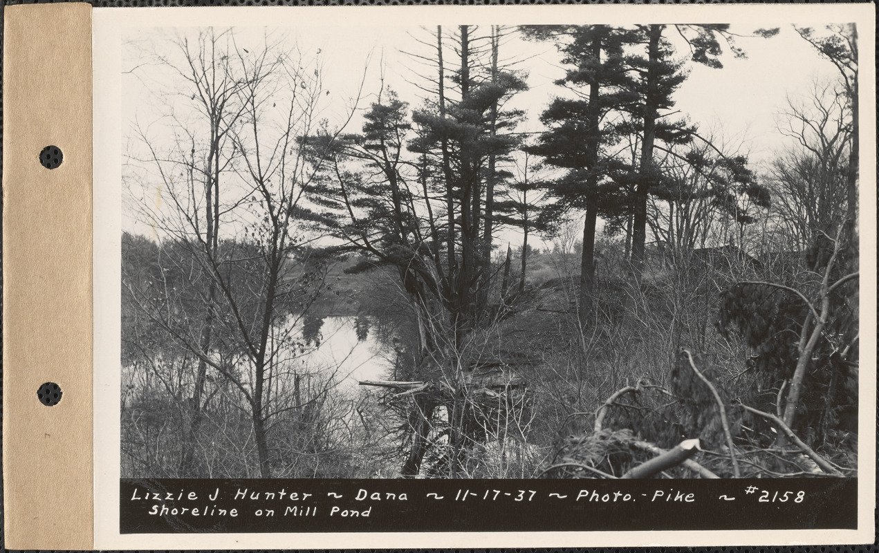 Lizzie J. Hunter, shoreline on mill pond, Dana, Mass., Nov. 17, 1937 ...