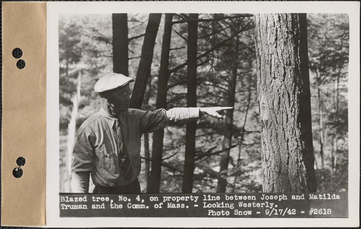 Blazed tree #4 on property line between Joseph and Matilda Truman and ...