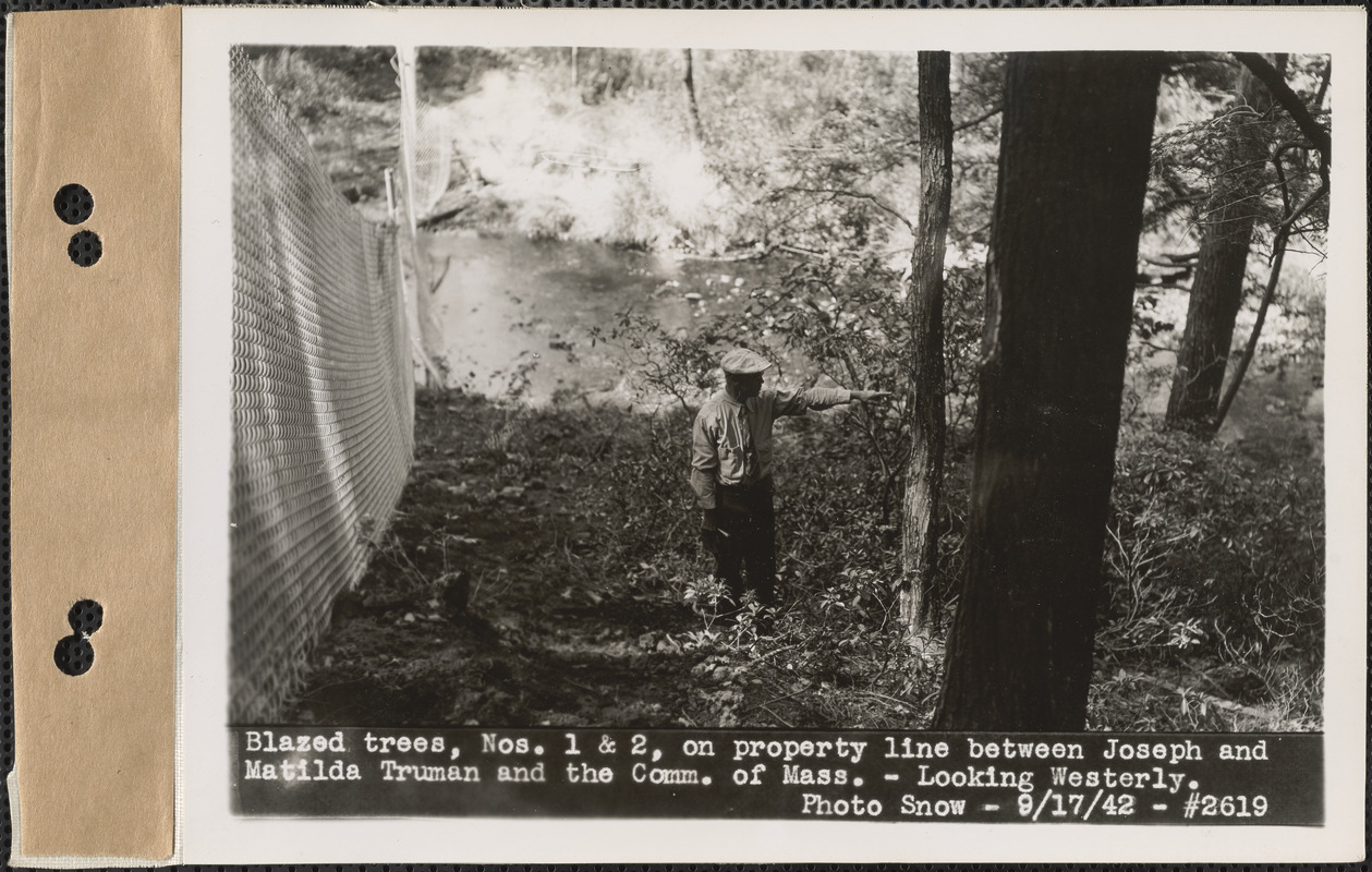 Blazed trees #1 and #2 on property line between Joseph and Matilda ...