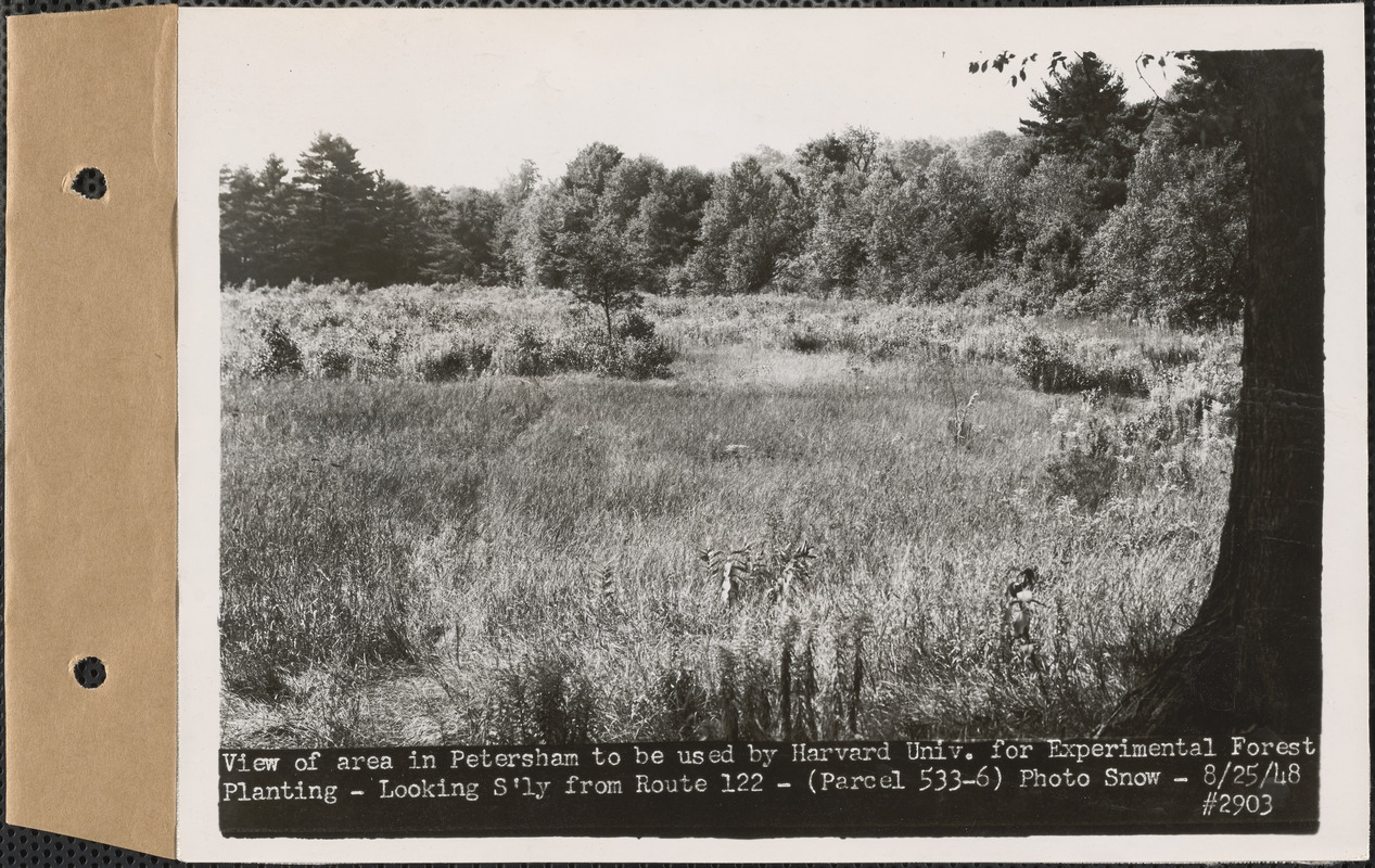 View of area in Petersham to be used by Harvard University for ...