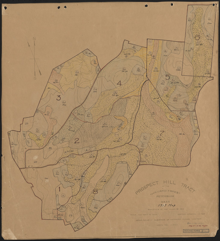Prospect Hill Stand and Plantation map - 1919 - Digital Commonwealth